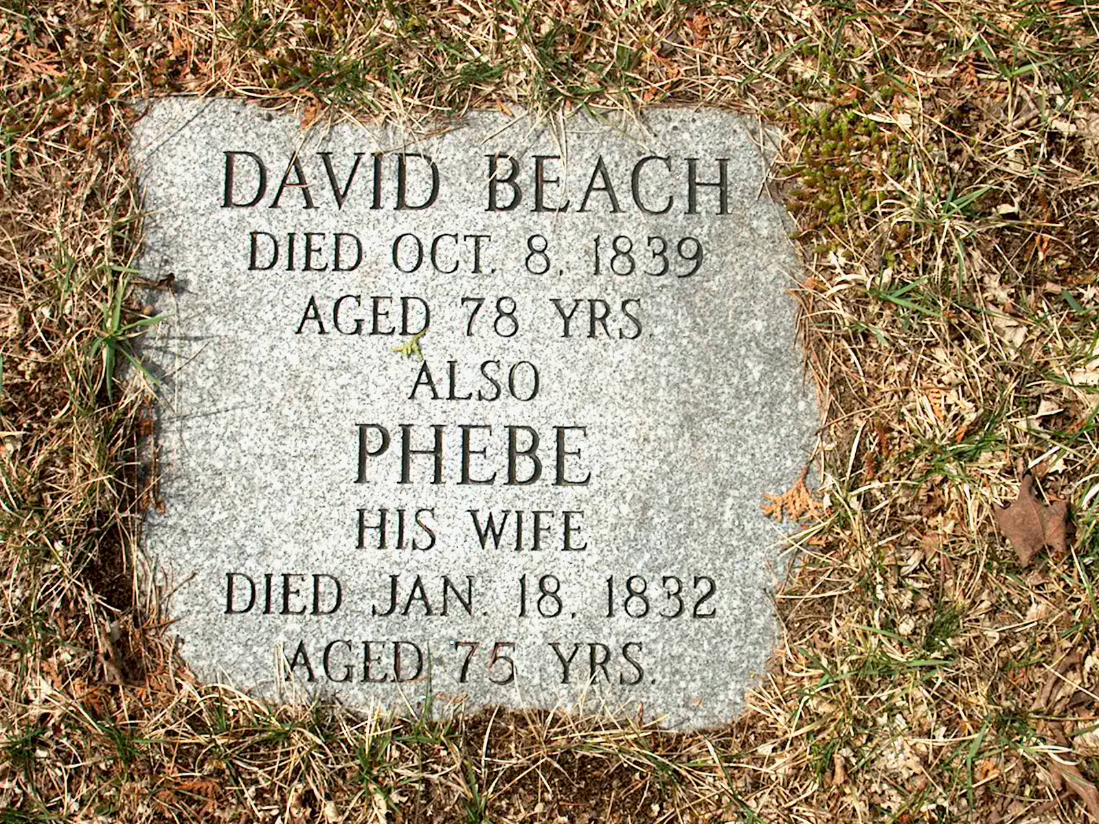 David BEACH - Ancestors of Wayne Bower and Laurie McBurmey