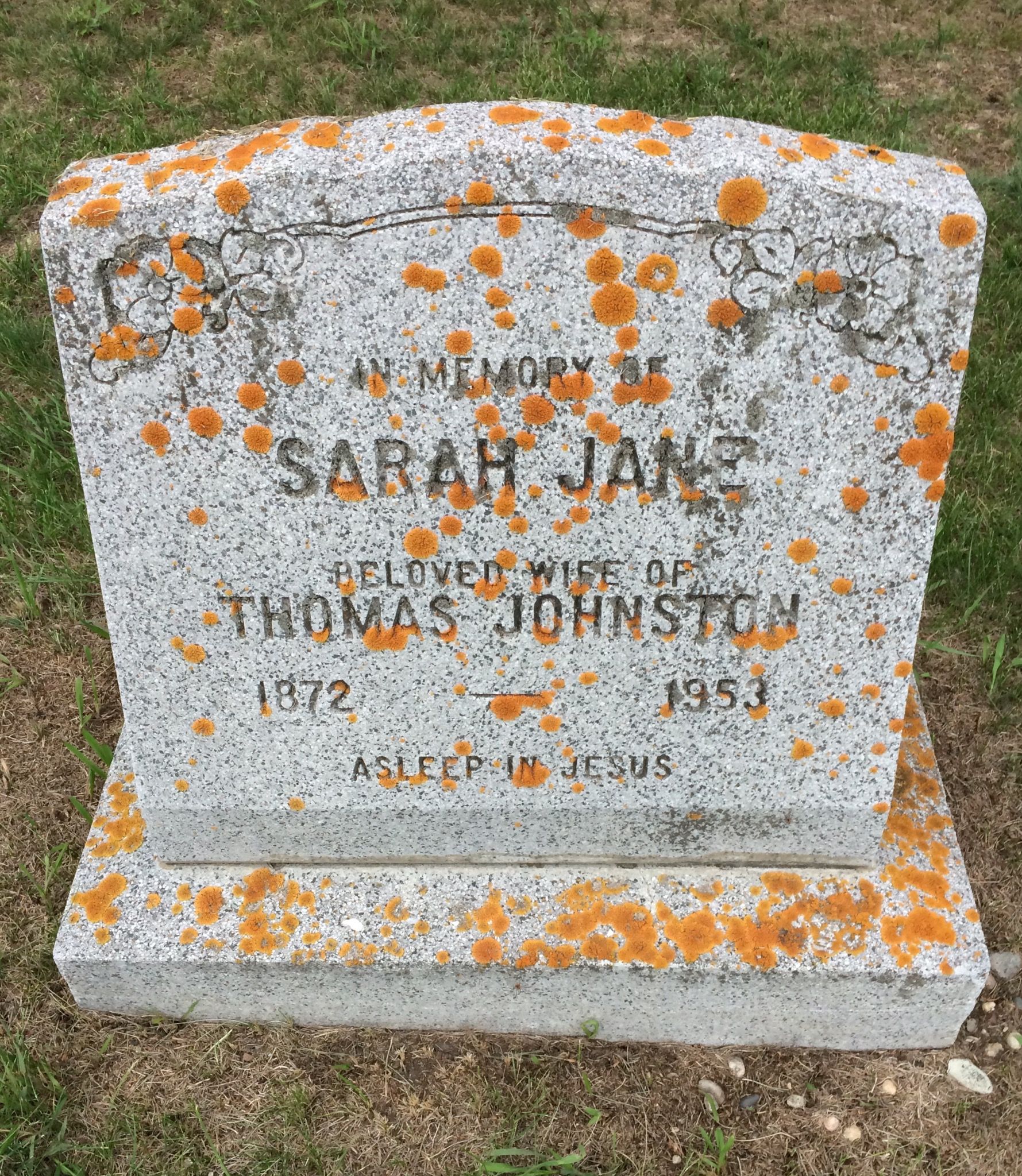 Sarah Jane McHARG - Ancestors of Wayne Bower and Laurie McBurmey